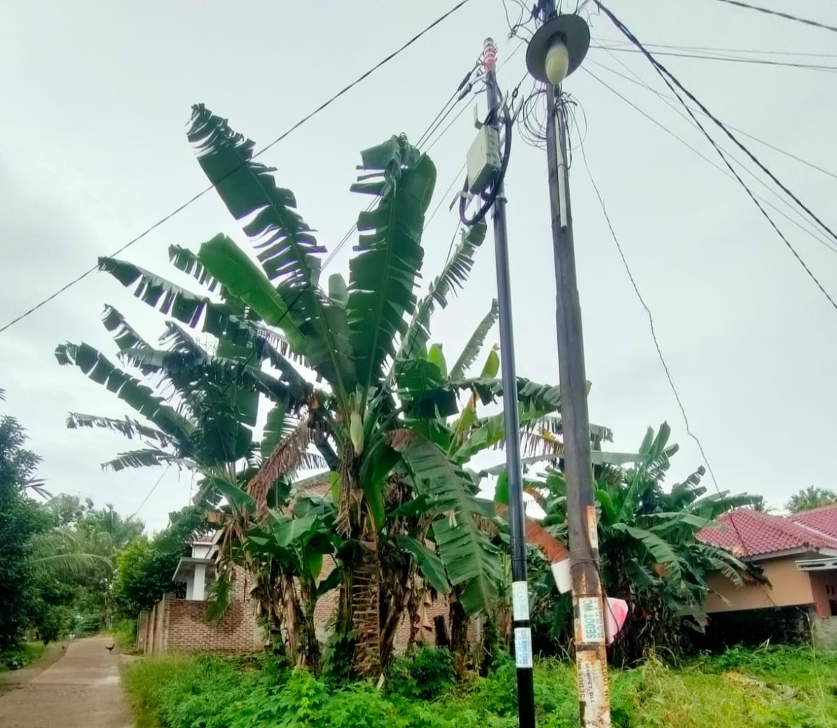 Nekat Tanam Tiang Tanpa Izin, Warga Laporkan Fiberstar ke Polisi | Dinamik